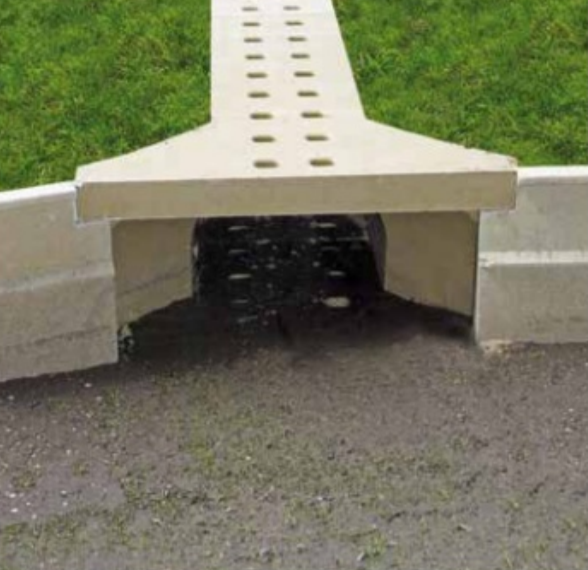 SALAMANDER SAFETY | News, Sports, Jobs - The Mining Journal